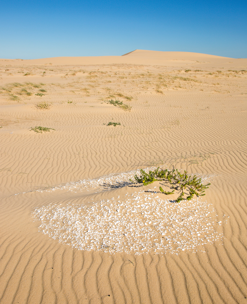 CULTURAL SITES - Worimi Conservation Lands