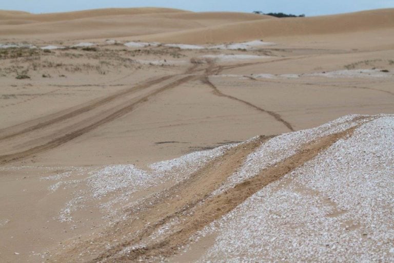 Beach Driving - Worimi Conservation Lands